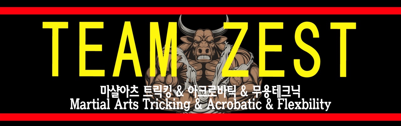 ZEST - 아크로바틱 아카데미